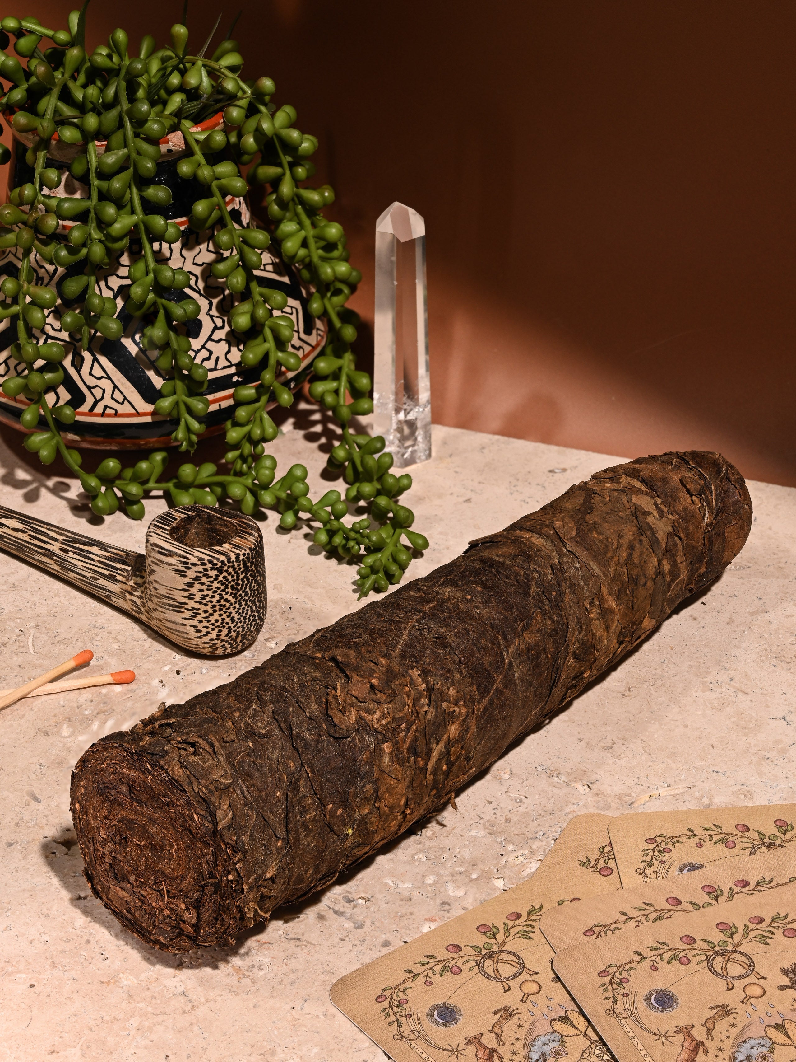 The Sacred World of Mapacho: Ancient Wisdom for Modern Seekers ...