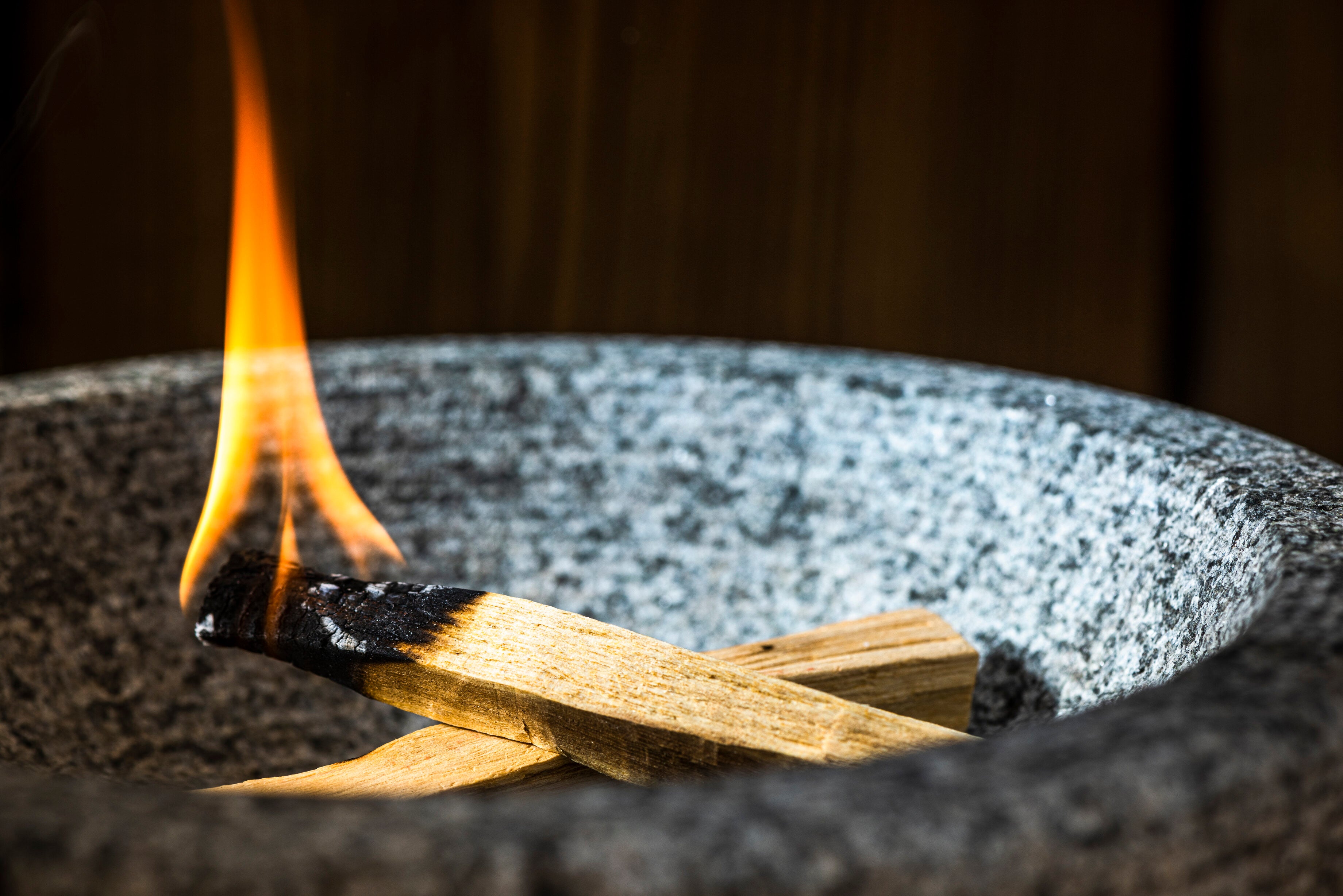 20 Ways to Incorporate Palo Santo into Your Spiritual Practice ...