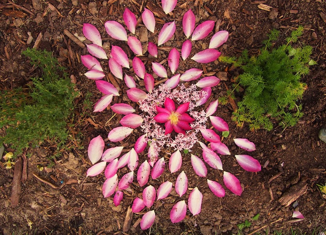 7 WAYS YOU CAN CELEBRATE SUMMER SOLSTICE | Shamans Market