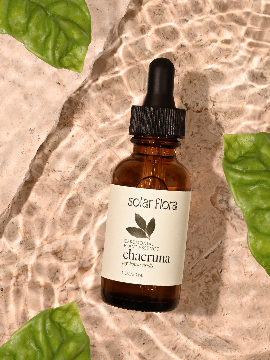 Ceremonial Plant Essence: Chacruna | sf6 | Shamans Market