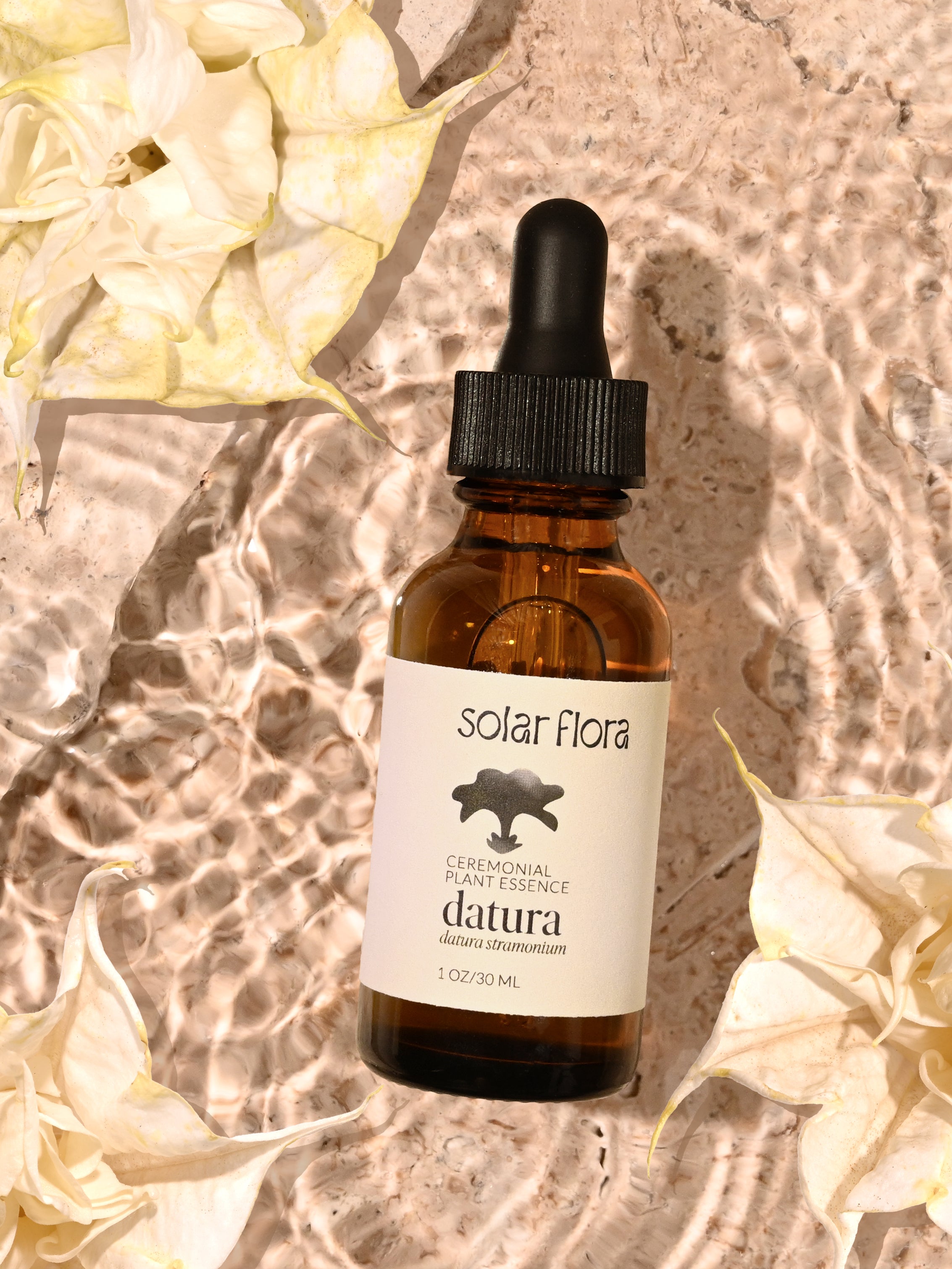 Ceremonial Plant Essence: Datura | sf5 | Shamans Market