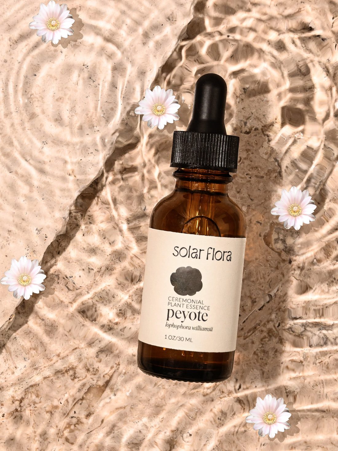 Ceremonial Plant Essence: Peyote | sf1 | Shamans Market