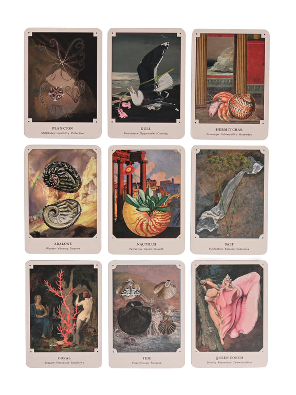 The Seashell Oracle : 44 Card Deck & Guidebook | dc08 | Shamans Market