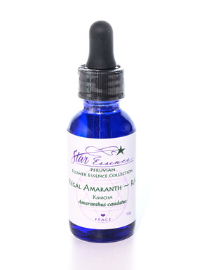 Peruvian Flower Essence: Regal Amaranth ~ RA | se32 | Shamans Market