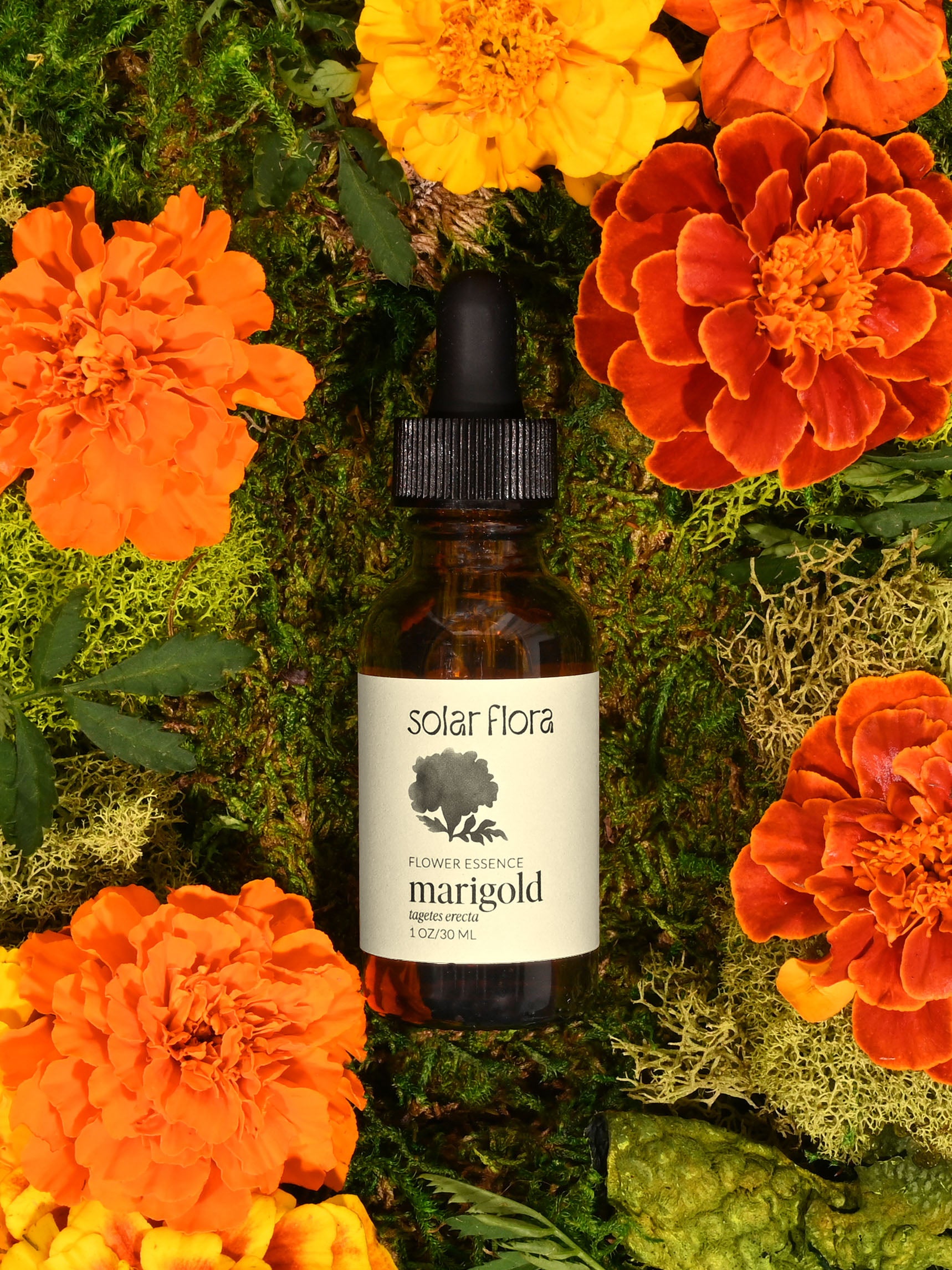 Flower Essence: Marigold | sf12 | Shamans Market