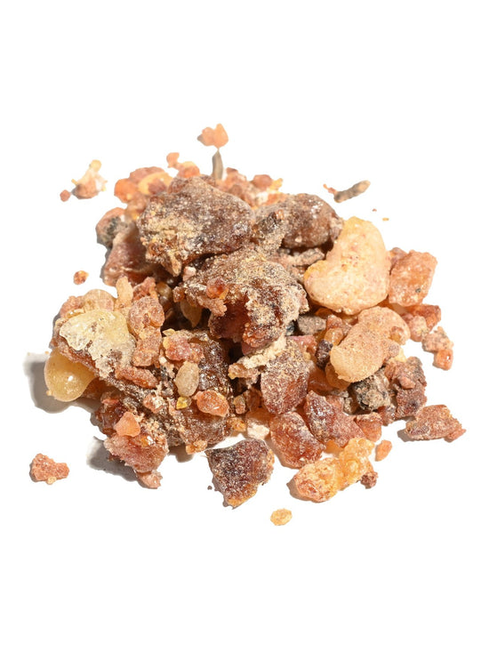 Pinon Pine Resin Incense | i0043-1 oz | Shamans Market