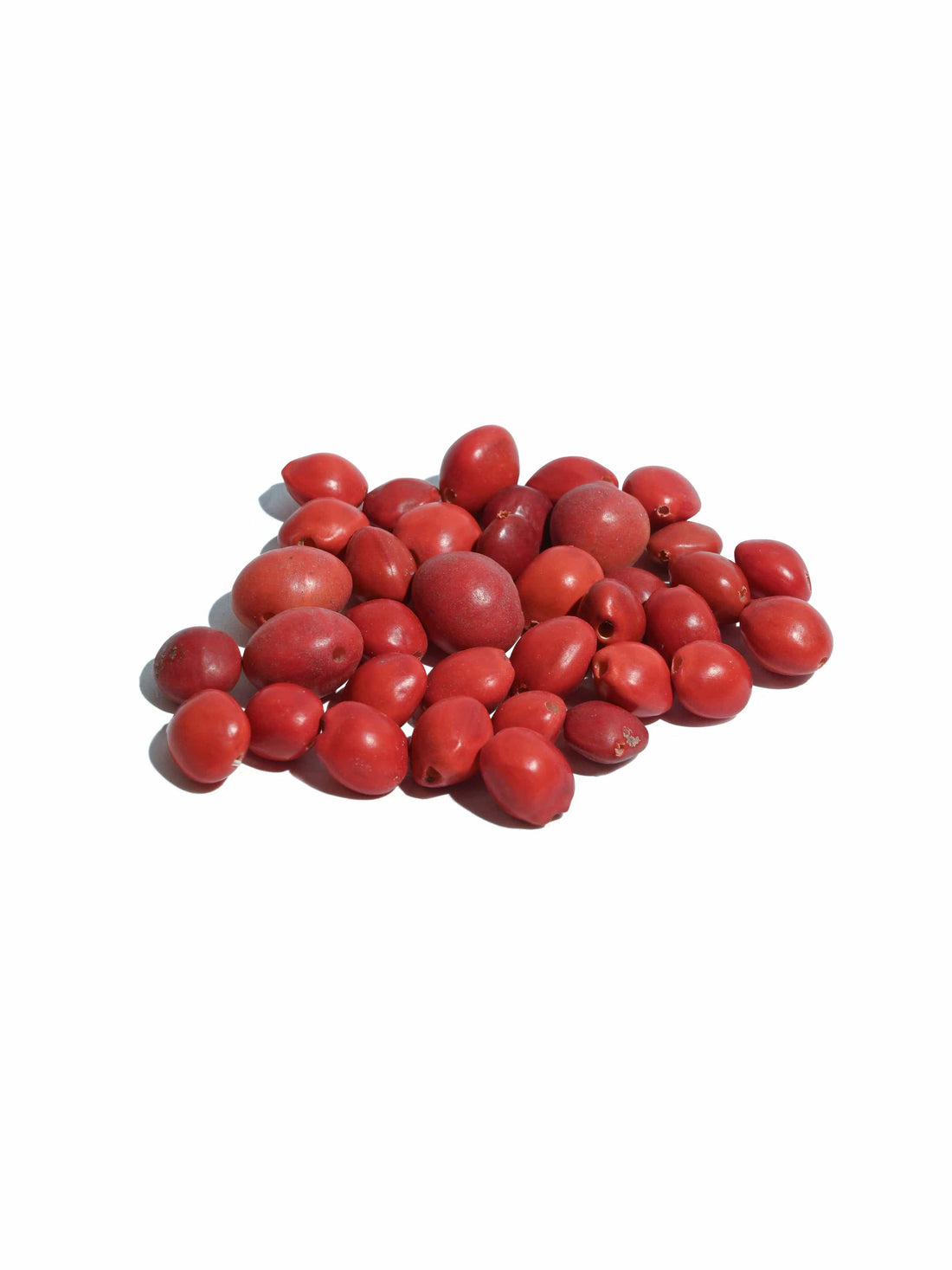 Huayruro Beads - Female | jbs1 | Shamans Market