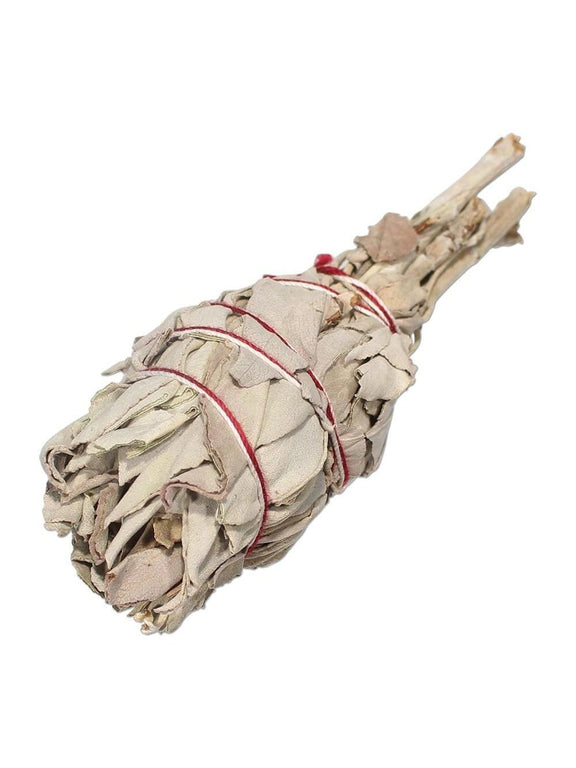 White Sage Mini Torch Style Smudge Stick | smg21 | Shamans Market