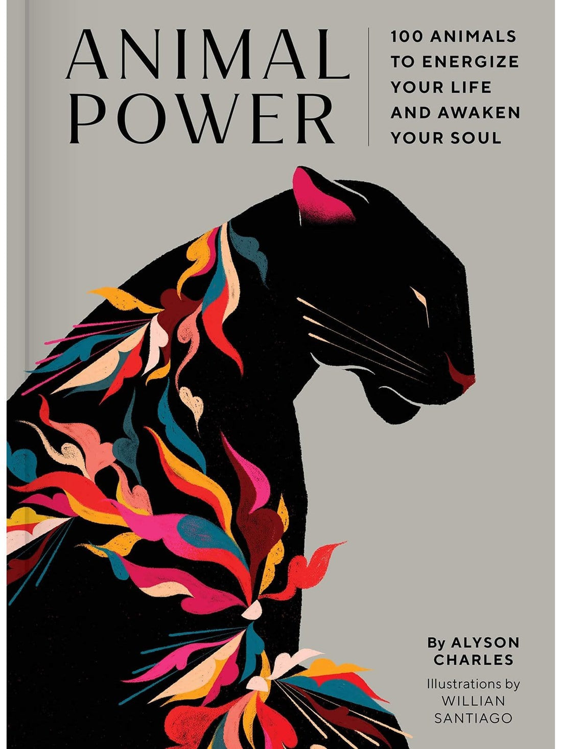 Animal Power: 100 Animals to Energize Your Life and Awaken Your Soul ...